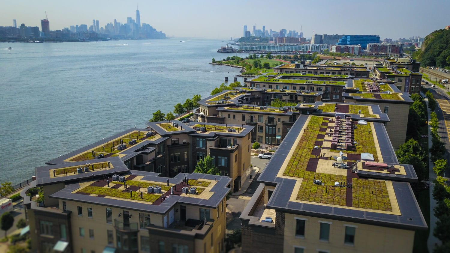 Gold Coast – Adaptive Green