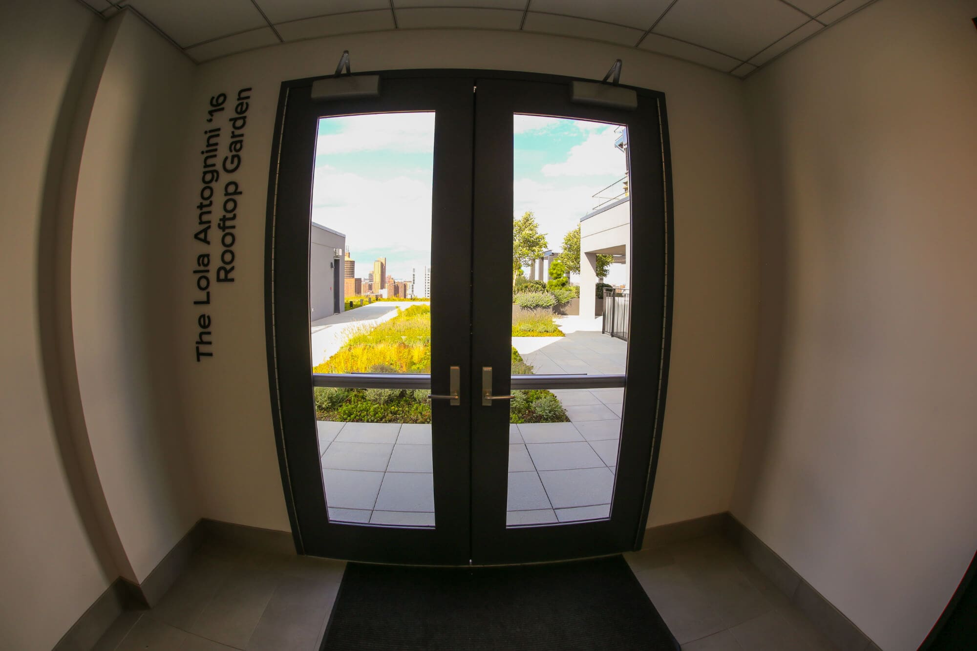 Marymount School Intensive Green Roof – Adaptive Green