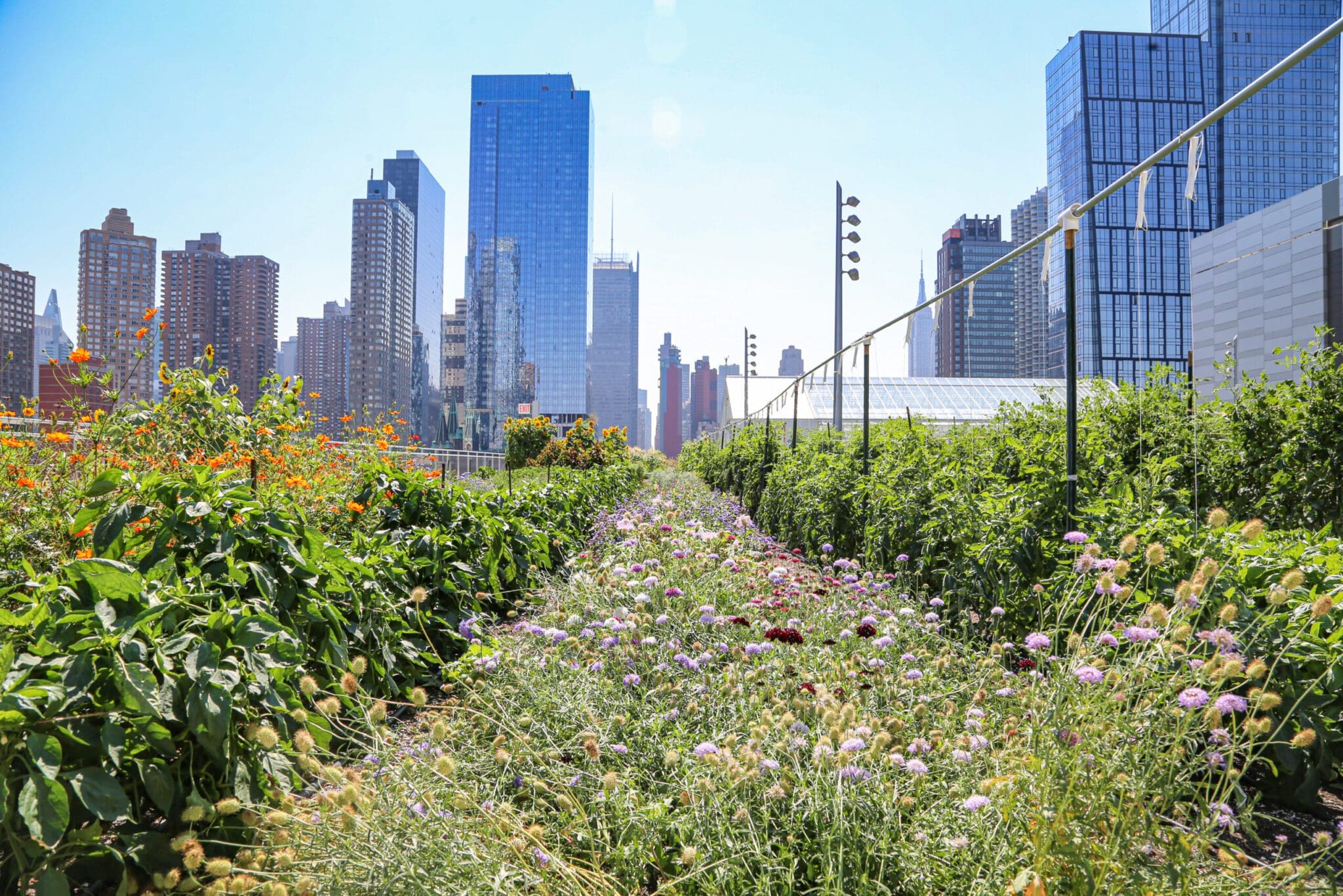 Jacob K. Javits Convention Center Expansion – Adaptive Green